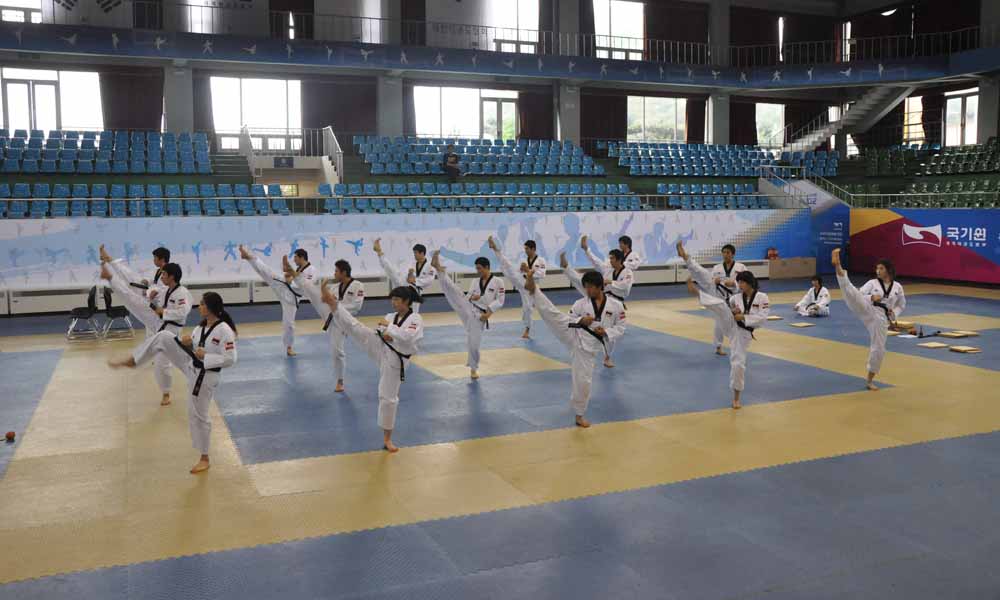 Kukkiwon: World Taekwondo HQ - Eager Journeys