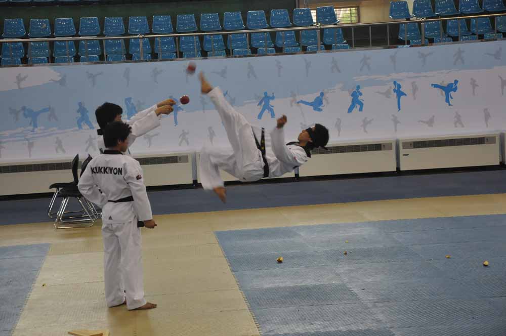 Kukkiwon: World Taekwondo HQ - Eager Journeys